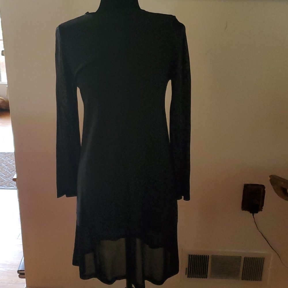 Beautiful Chic Sheer Dress - Gem